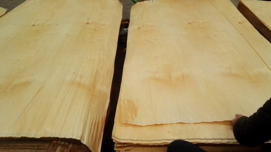 Face Veneer - PLY INSIGHT